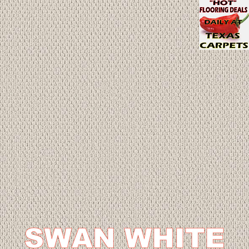 Perspective Path | Shaw